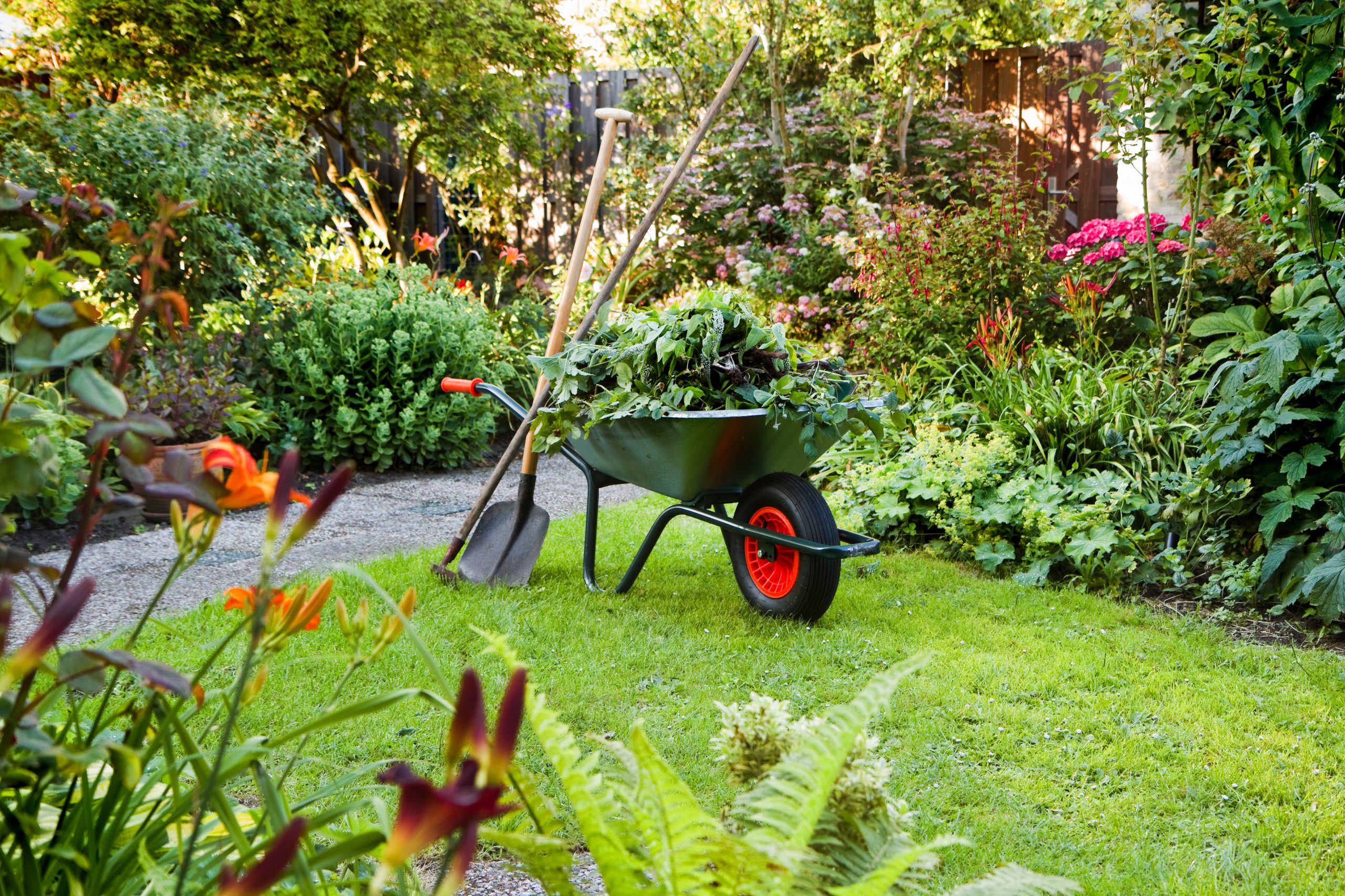 Century's Landscaping Services